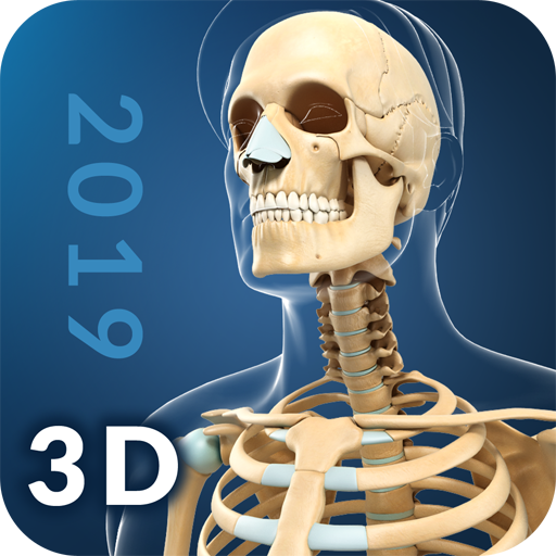 دانلود برنامه My Skeleton Anatomy برای اندروید | مایکت