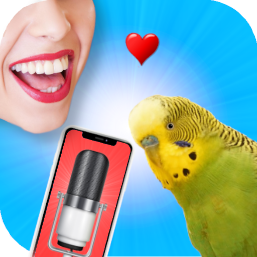 دانلود بازی Bird Translator Simulator برای اندروید | مایکت