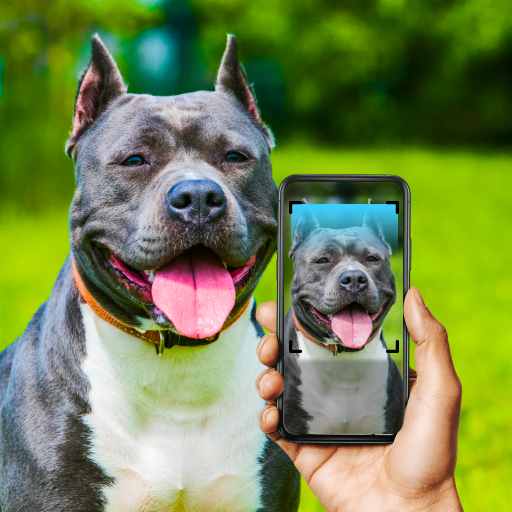 دانلود برنامه Dog Breed Identifier by Photo برای اندروید | مایکت
